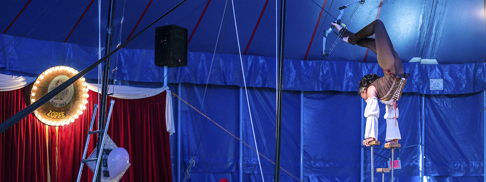 Wheat Ridge Carnation Festival – Fun for Everyone Since 1969 | Wheat ...